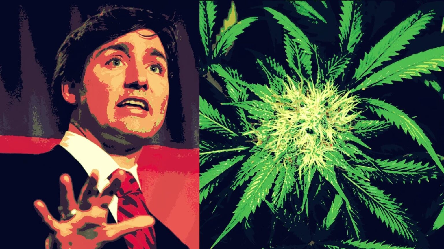 justin weed | Stoner Circle